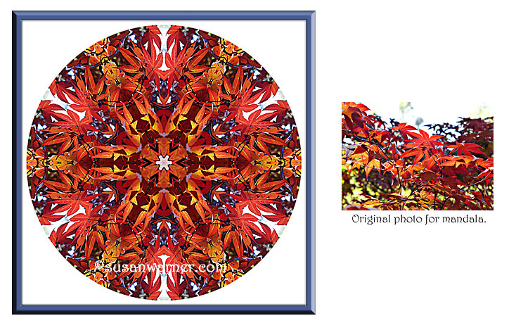 Susan Warner Studio - Fall Leaves Mandala